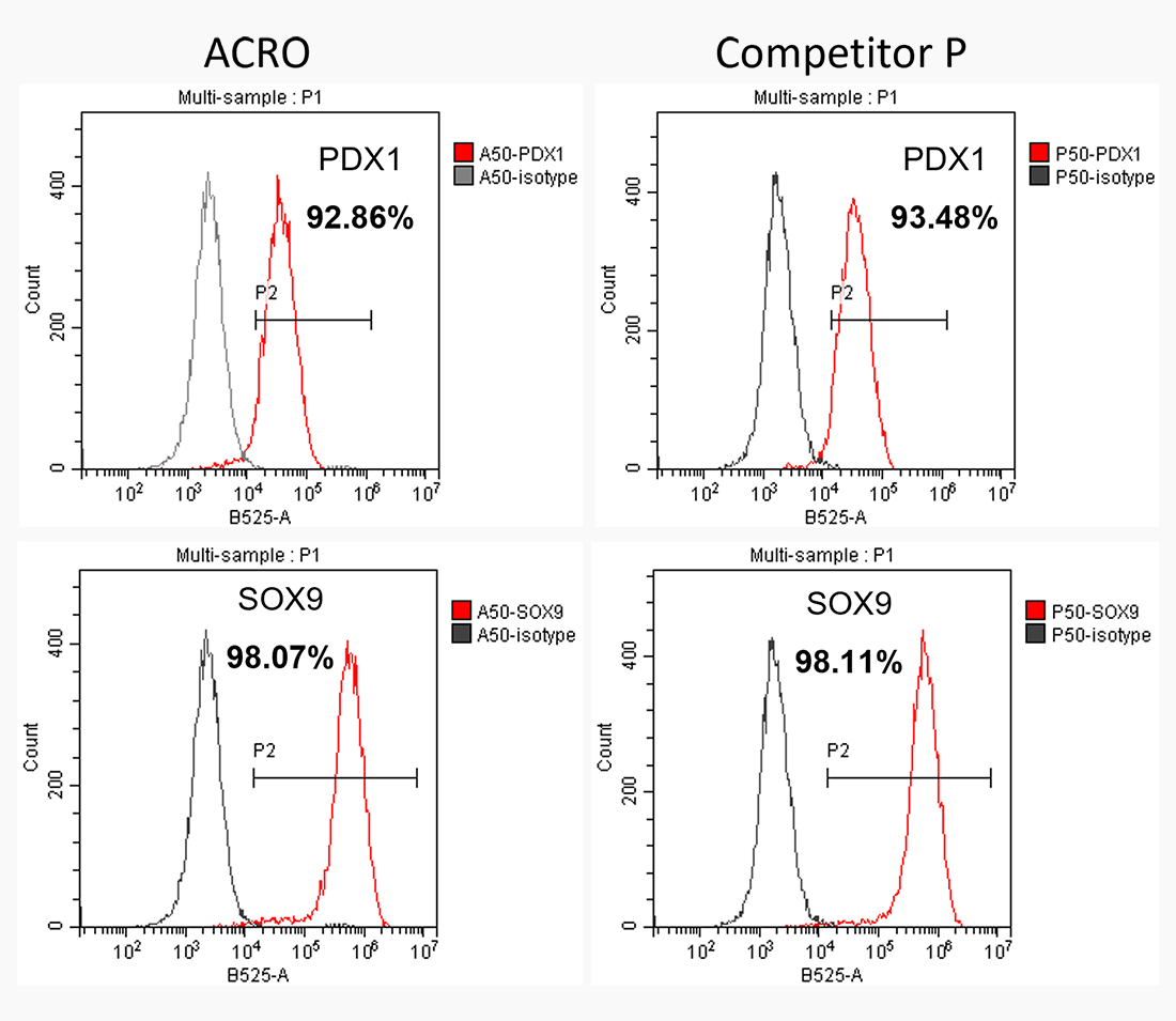CMC Production Process of iPSC-based Cell Therapy | ACROBiosystems