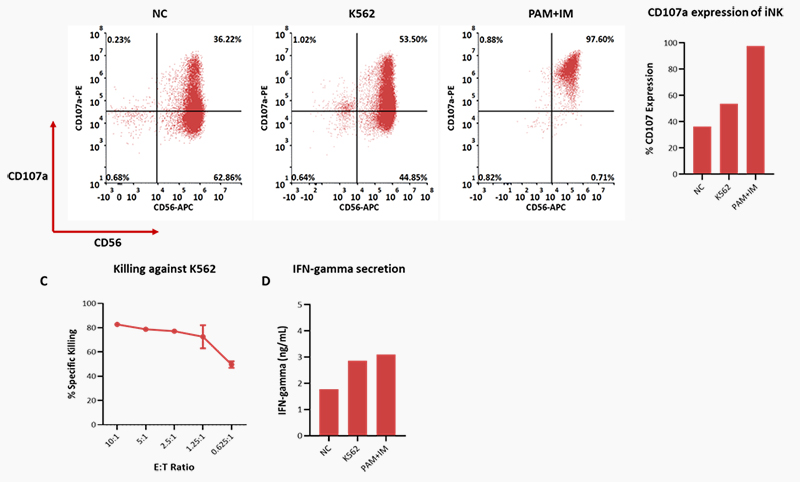 CMC Production Process of iPSC-based Cell Therapy | ACROBiosystems