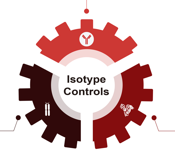 Isotype Controls: Revealing Non-Specificity in Drug Development ...
