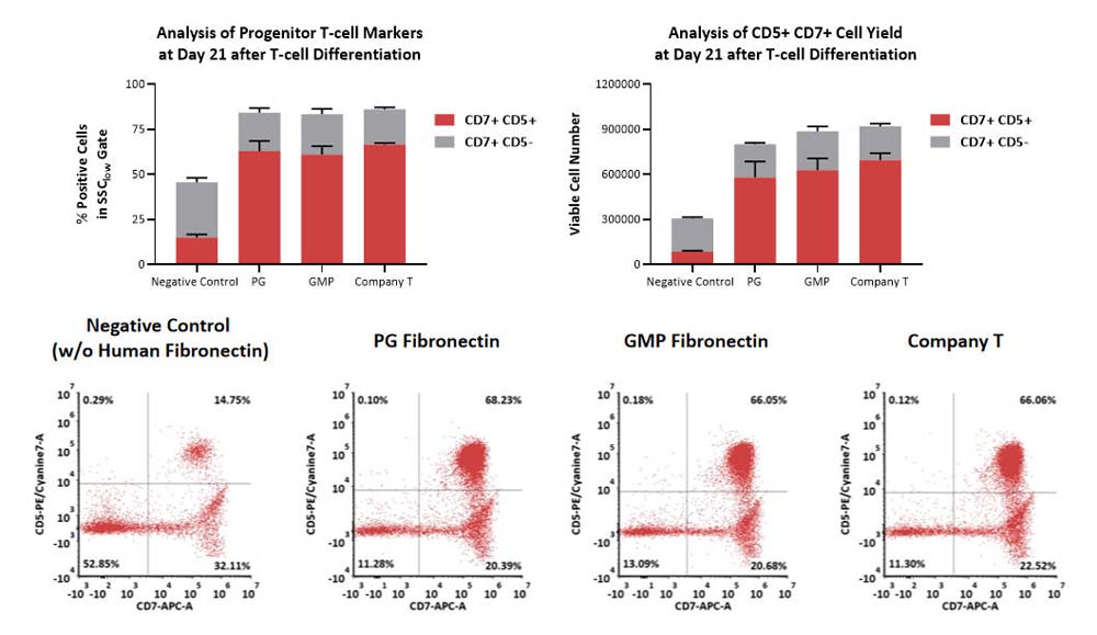 Recombinant Fibronectin fragment, premium grade | ACROBiosystems