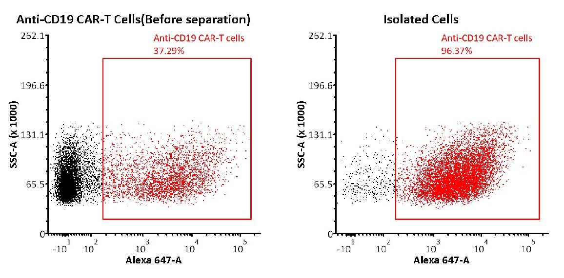 Biotinylated Monoclonal Anti-G4S linker Antibody, Rabbit IgG (016 ...