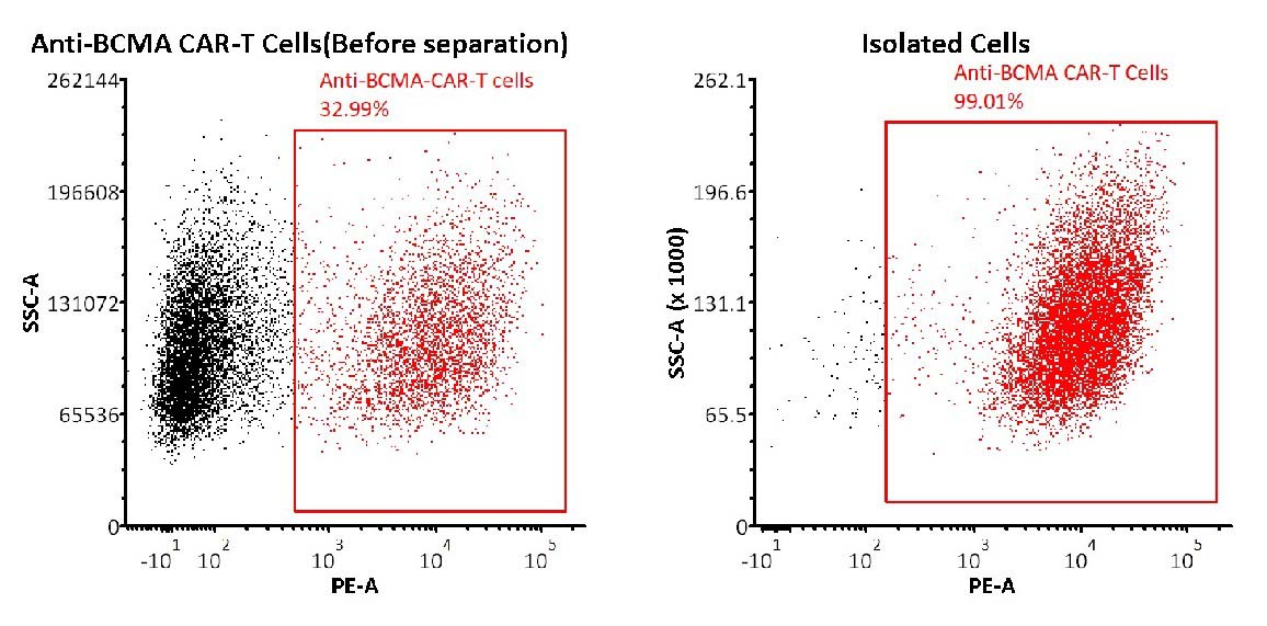 Biotinylated Monoclonal Anti-G4S linker Antibody, Rabbit IgG (016 ...