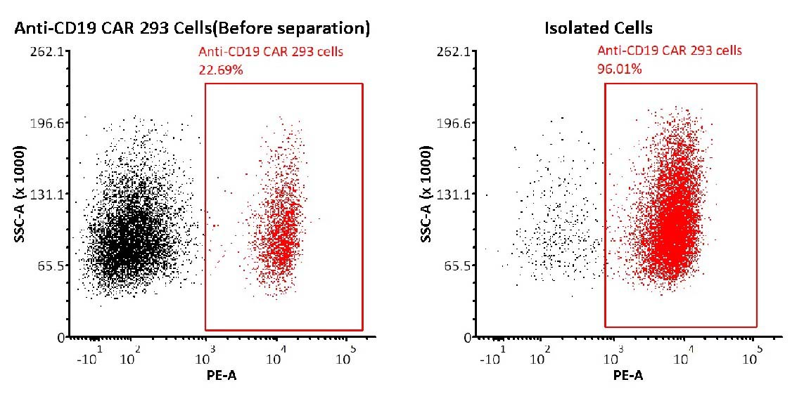 Biotinylated Monoclonal Anti-G4S linker Antibody, Rabbit IgG (016 ...