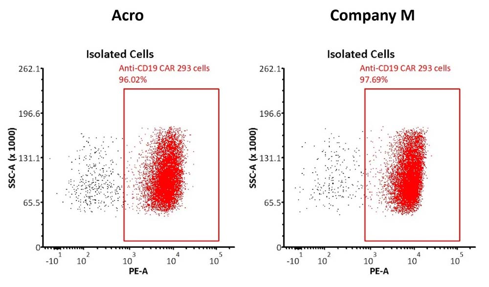 Biotinylated Monoclonal Anti-G4S linker Antibody, Rabbit IgG (016 ...