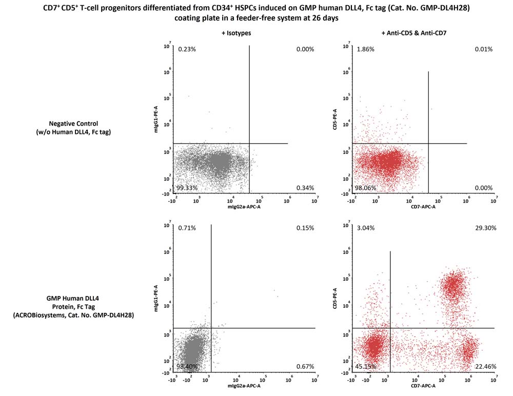 GMP Human DLL4 Protein, Fc Tag | ACROBiosystems