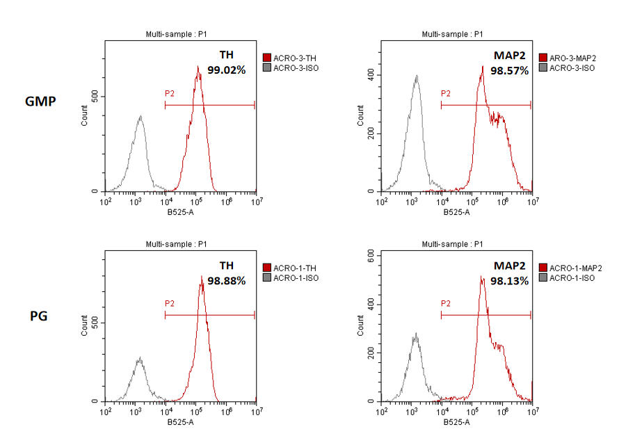 GMP Human GDNF Protein (E. coli) | ACROBiosystems