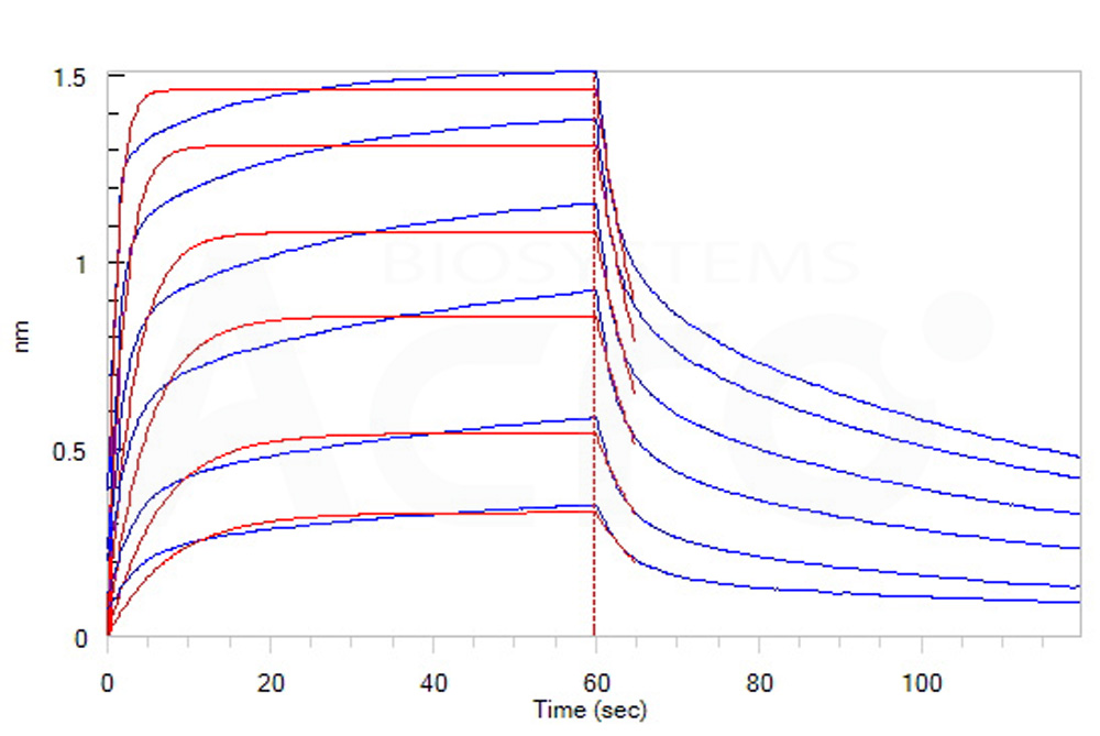 Biotinylated Human Fc gamma RIIIA / CD16a (V176) Protein, Avitag™,His ...