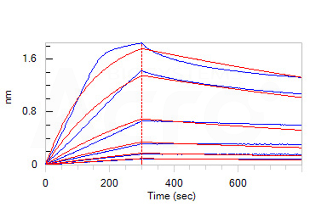 Biotinylated Cynomolgus CD3E&CD3D Heterodimer Protein, His,Avitag™&Tag ...
