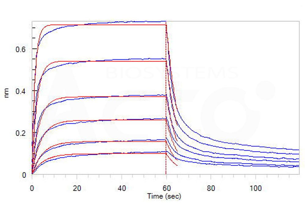 Biotinylated Human FcRn / FCGRT&B2M Heterodimer Protein, His Tag&Strep ...