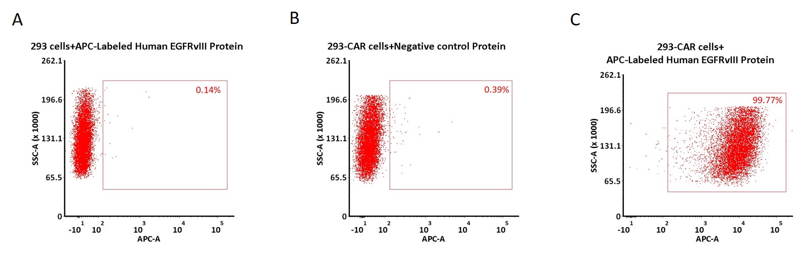 APC-Labeled Human EGFRvIII Protein, His TagStar Staining | ACROBiosystems
