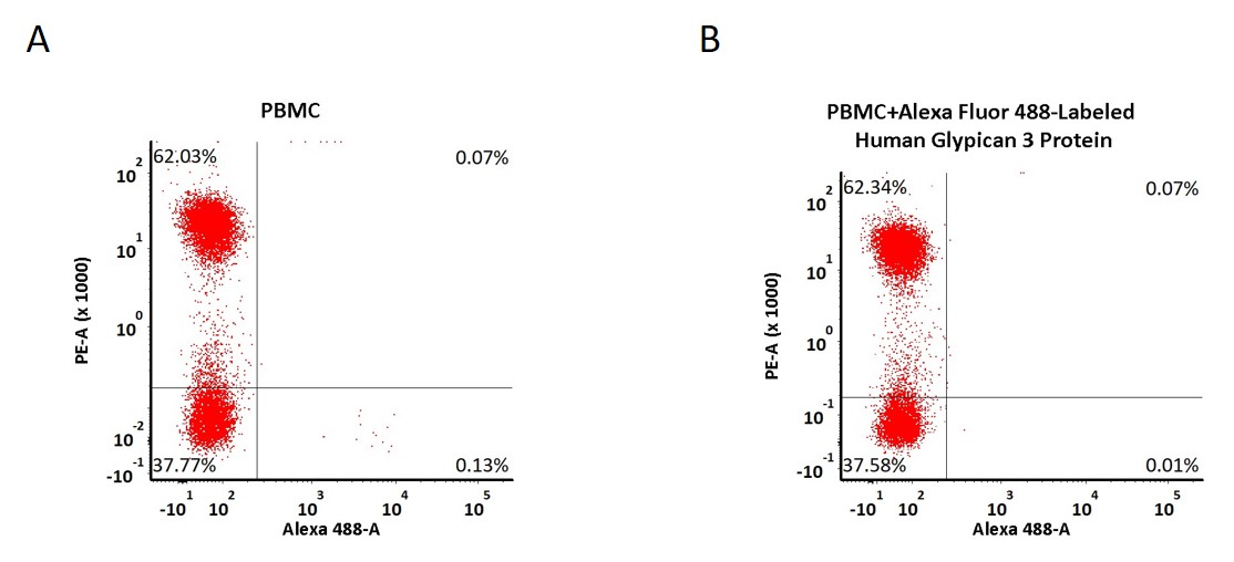 Alexa Fluor™ 488-Labeled Human Glypican 3 / GPC3 Protein, His TagStar ...