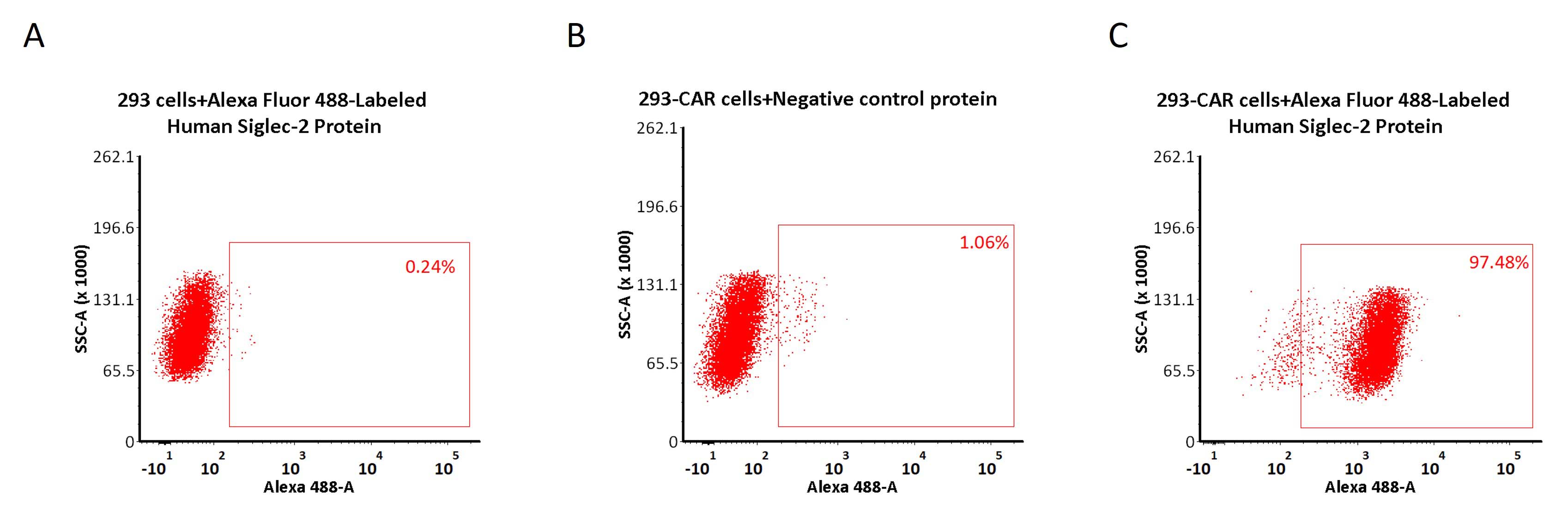 Alexa Fluor™ 488-Labeled Human Siglec-2 / CD22 Protein, His TagStar ...