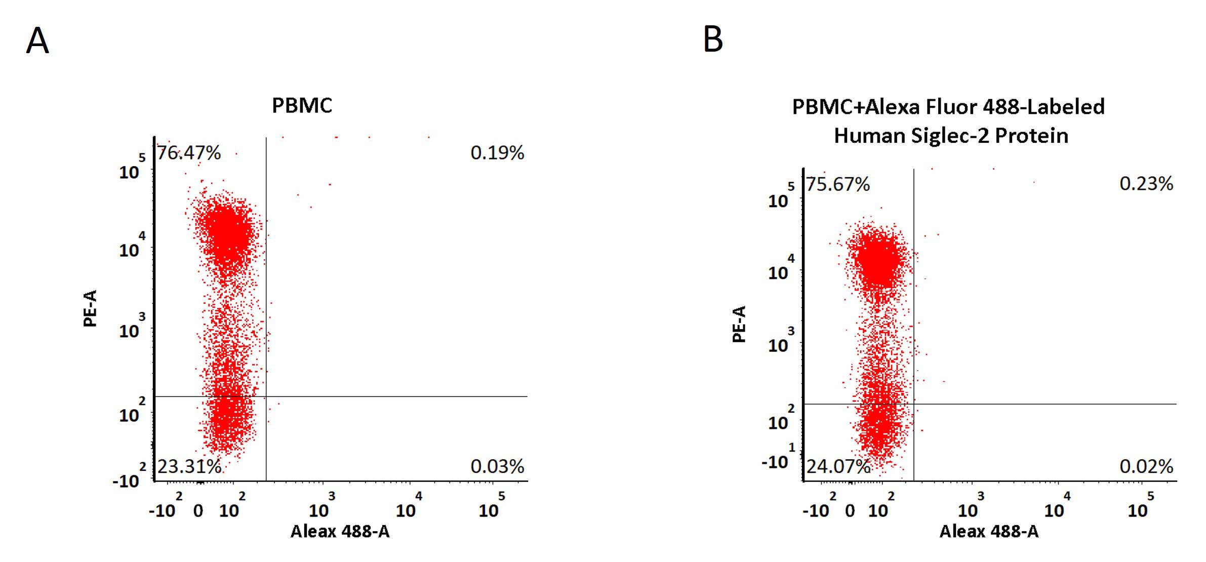 Alexa Fluor™ 488-Labeled Human Siglec-2 / CD22 Protein, His TagStar ...