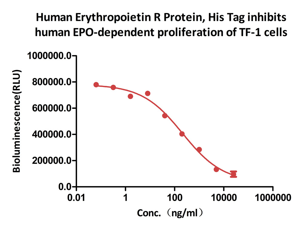 Human Erythropoietin R / EPO R Protein, His Tag (MALS & SPR verified ...