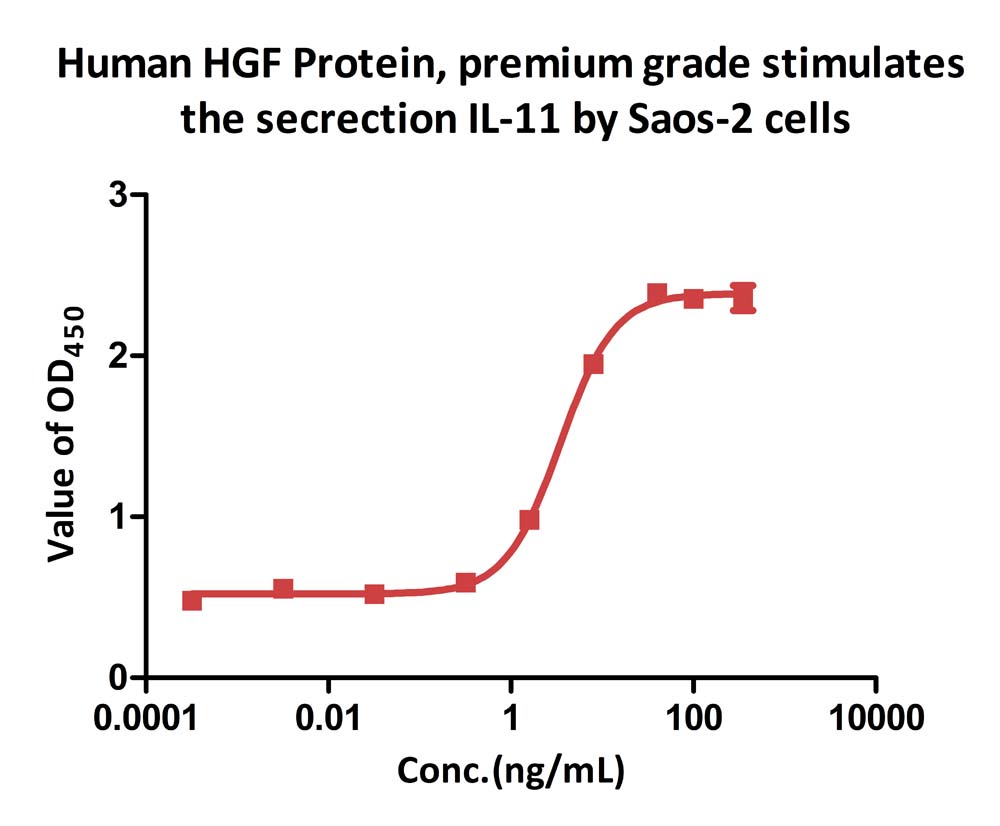 Human HGF Protein, premium grade | ACROBiosystems