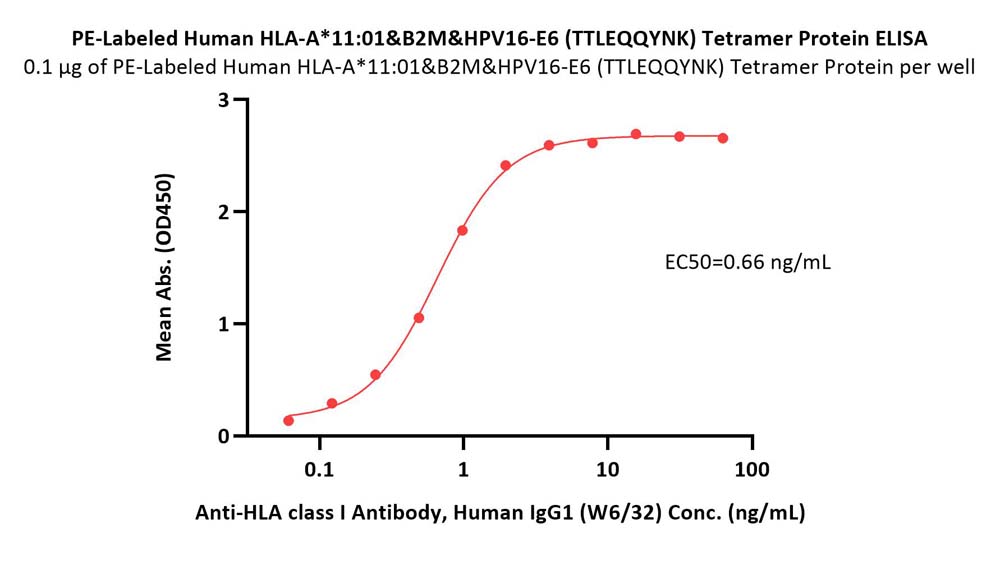 PE-Labeled Human HLA-A*11:01&B2M&HPV16-E6 (TTLEQQYNK) Tetramer Protein ...