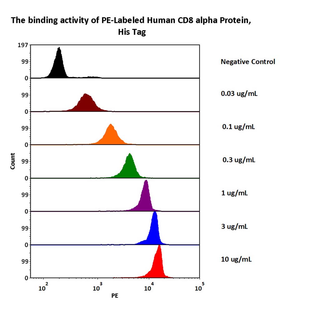 PE-Labeled Human CD8 alpha Protein, His TagStar Staining | ACROBiosystems