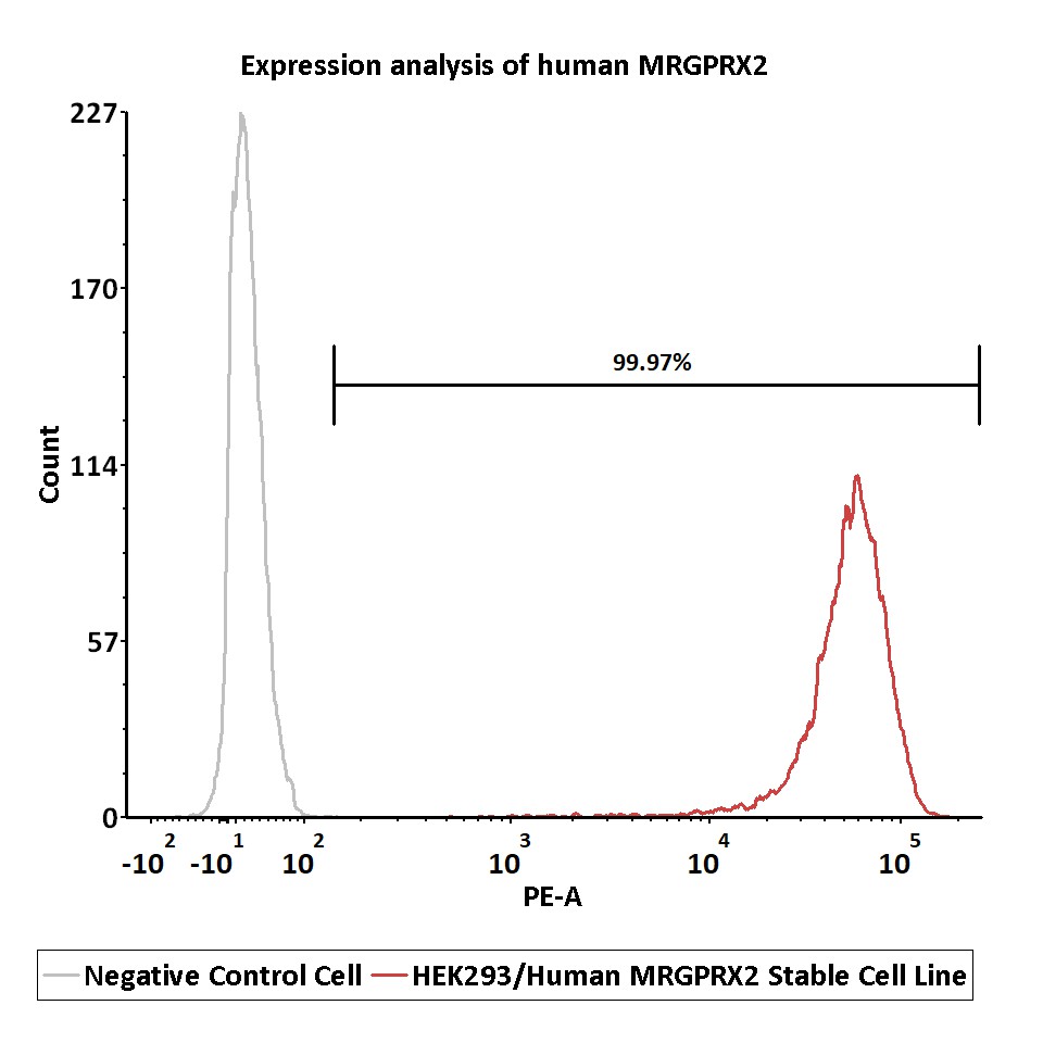 HEK293/Human MRGPRX2 Stable Cell Line | ACROBiosystems