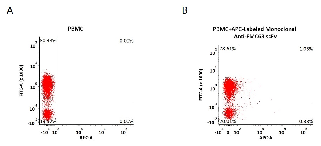 APC-Labeled Monoclonal Anti-FMC63 Antibody, Mouse IgG1 (Y45) (Site ...