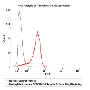 Biotinylated Human GPRC5D Full Length Protein, Flag,His,Avitag ...