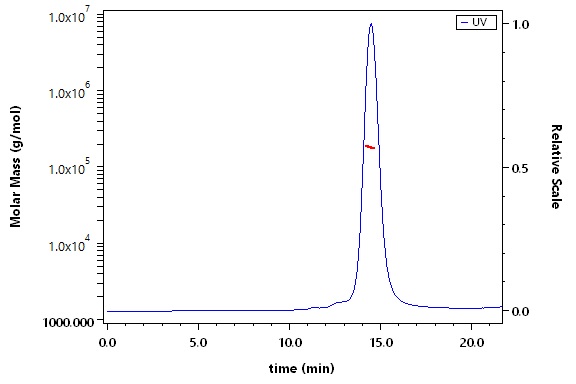 Nipah virus Pre-Fusion glycoprotein, His Tag (MALS verified ...