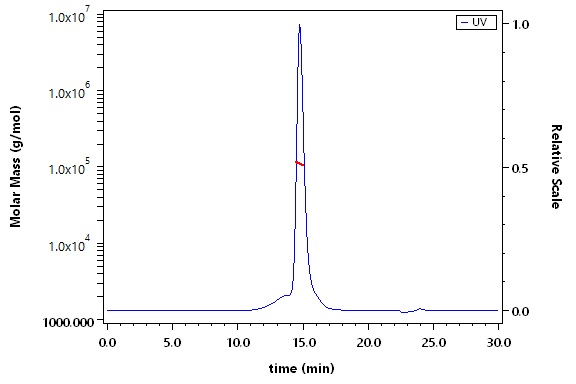 Biotinylated Human IL-12 R beta 2 Protein, His,Avitag™ (MALS verified ...
