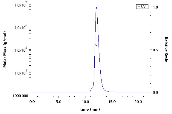 Human SEZ6 Protein, His Tag (MALS verified) | ACROBiosystems