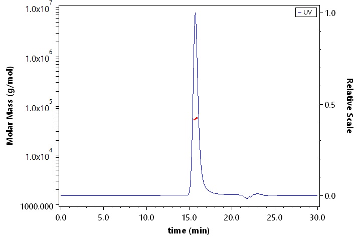 Human TNF-alpha Protein, His Tag, active trimer (MALS verified ...