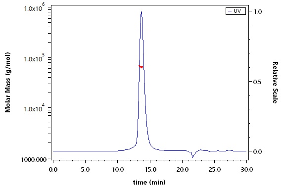 Human TNF-beta / Lymphotoxin-alpha Protein, His Tag (MALS verified ...