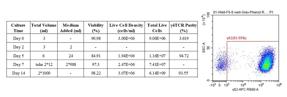 CelThera™ GMP GDT Cell Expansion Kit | ACROBiosystems