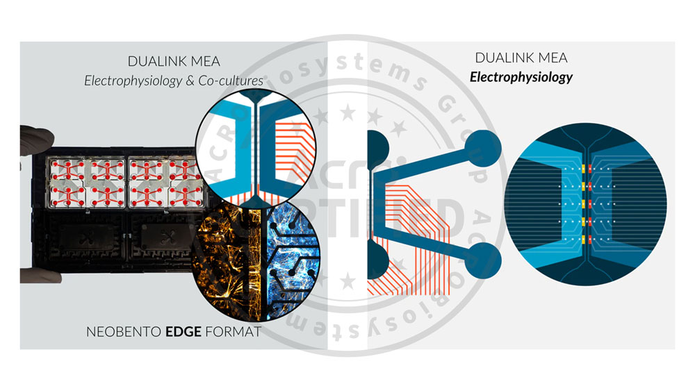 NeuroFluidics NeoBento DuaLink MEA EDGE (Acro Certified) | ACROBiosystems