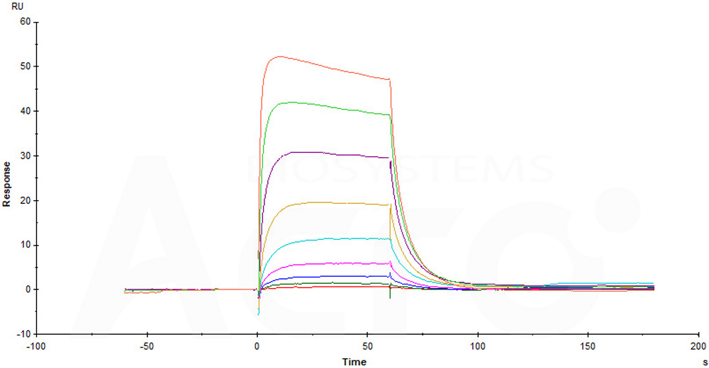 Human IL-3 R alpha / CD123 Protein, His Tag, low endotoxin (MALS & SPR ...
