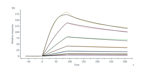 Biotinylated Human IL-23 R Protein, Fc,Avitag™ (MALS verified ...