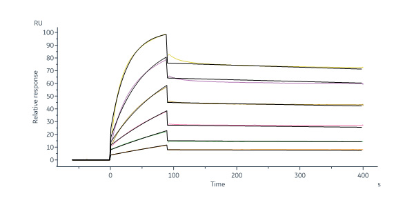 Human DcR3 / TNFRSF6B Protein, Fc Tag | ACROBiosystems
