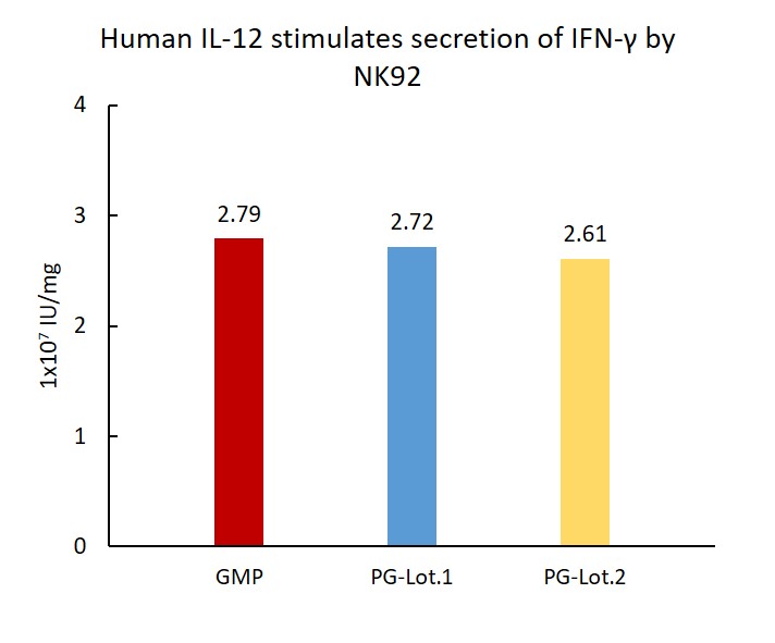 GMP Human IL-12 Protein | ACROBiosystems