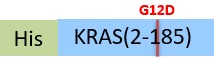 KRAS | ACROBiosystems