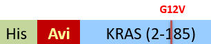 KRAS | ACROBiosystems