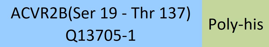 Human Activin RIIB / ACVR2B Protein, His Tag, low endotoxin (MALS & SPR ...
