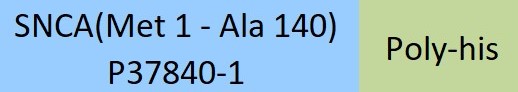 Alexa Fluor™ 647-Labeled Human Alpha-synuclein Protein, His Tag ...
