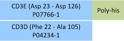 HRP-Human CD3 epsilon&CD3 delta Heterodimer Protein, His Tag&Tag Free ...