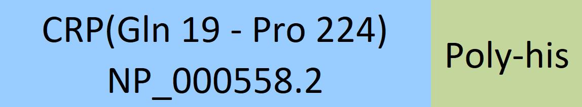 Human C-Reactive Protein (CRP) Protein, His Tag | ACROBiosystems