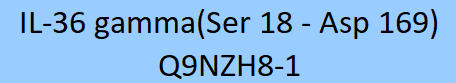 Human IL-36 gamma / IL-1F9 Protein, Tag Free (MALS verified ...