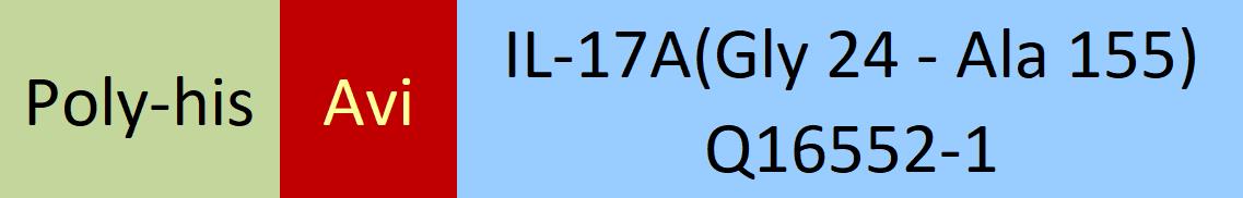 Biotinylated Human IL-17A / CTLA-8 Protein, His,Avitag™ | ACROBiosystems