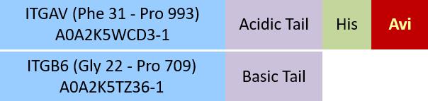 Biotinylated Cynomolgus Integrin alpha V beta 6 (ITGAV&ITGB6 ...
