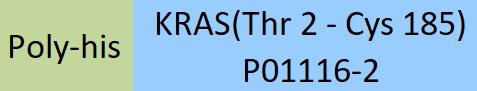 Human KRAS Protein, His Tag (active enzyme, HPLC verified) | ACROBiosystems