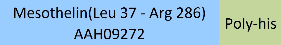 Human Mesothelin / MSLN (37-286) Protein, His Tag (MALS verified ...
