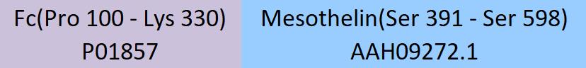 Human Mesothelin / MSLN (391-598) Protein, Fc Tag (MALS verified ...