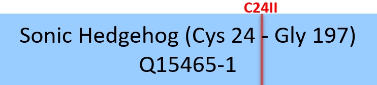 Human Sonic Hedgehog / Shh (C24II) Protein, Research Grade | ACROBiosystems