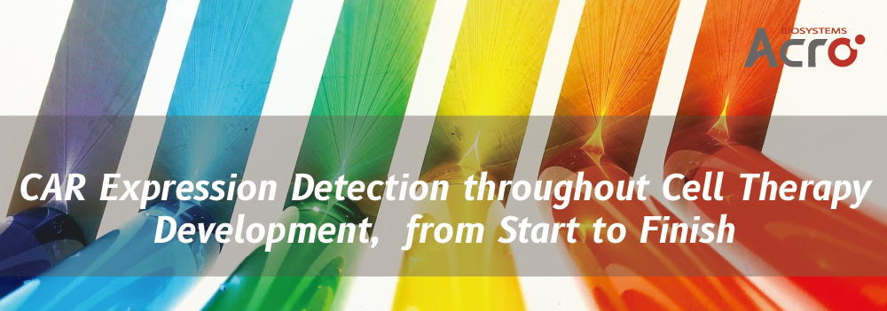 CAR Expression Detection throughout Cell Therapy Development, from ...