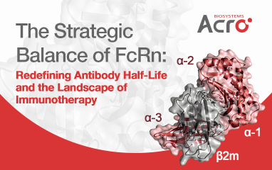 Proteases for Screening and Validation of ADC Linker | ACROBiosystems